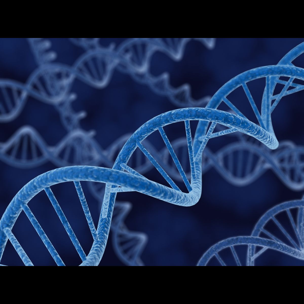 Professor Susan Rosser, Professor of Synthetic Biology